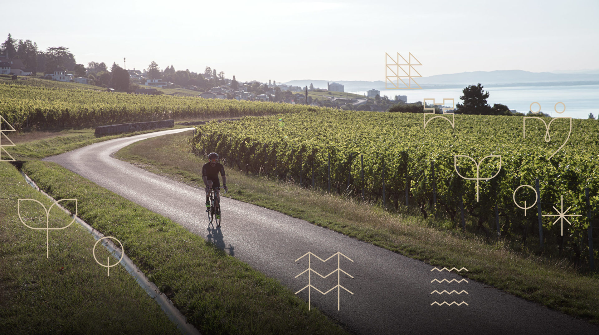 Les SwissSkills font briller les métiers professionnels à Berne ...